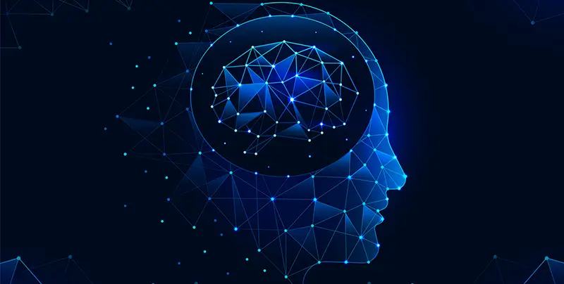 WNPL - Enterprise software development